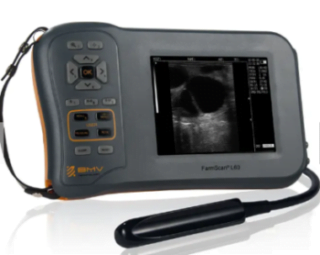 Ecograf FarmScan® L60 – Diagnostic Avansat și Precizie în Imagistică ...